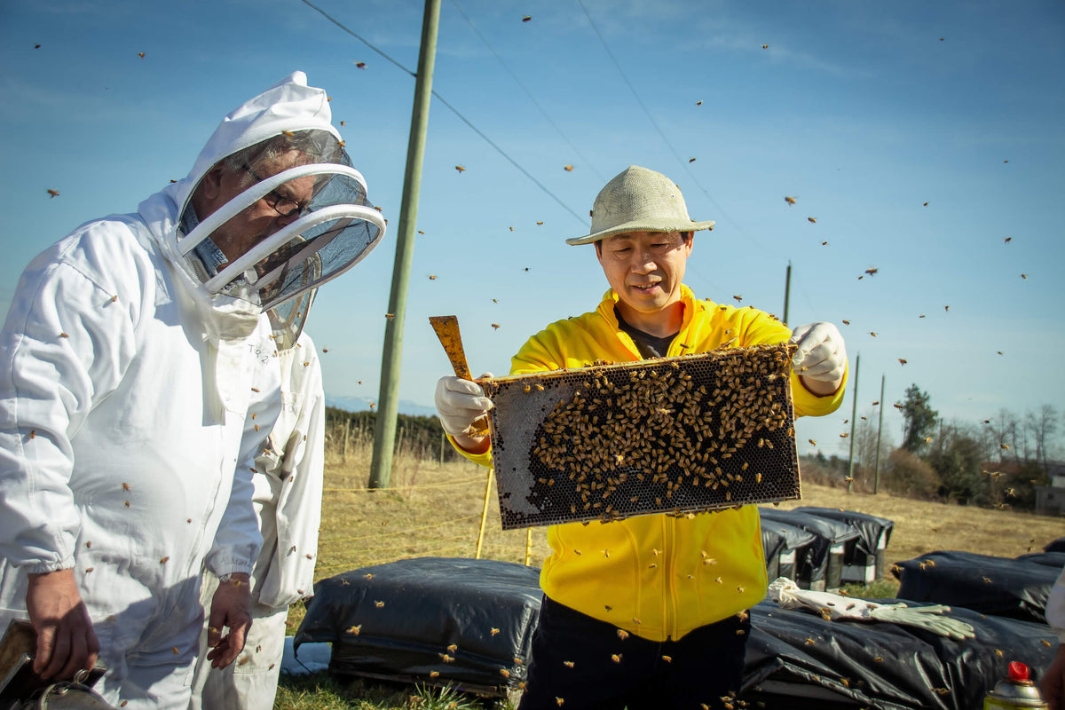 Snickerdoodle Pumpkin Bites: A Healthy Thanksgiving Treat! – Dr. Bee
